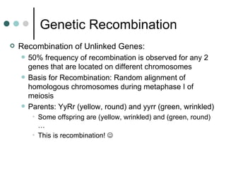 The Chromosomal Basis Of Inheritance | PPT