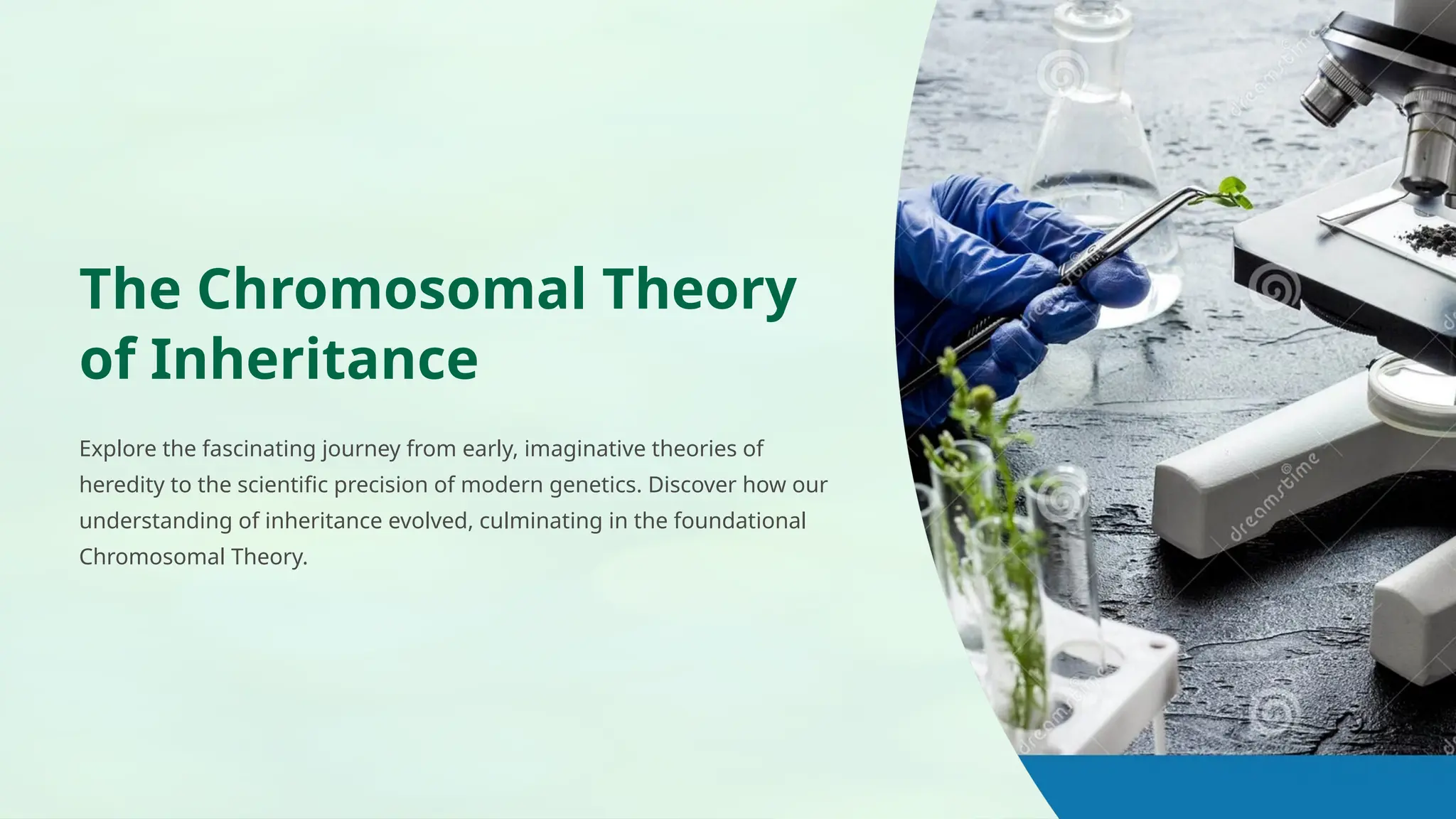The-Chromosomal-Theory-of-Inheritance.pptx