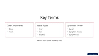 the Circulatory and lymphatic systems.pptx
