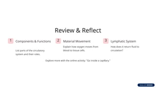 the Circulatory and lymphatic systems.pptx