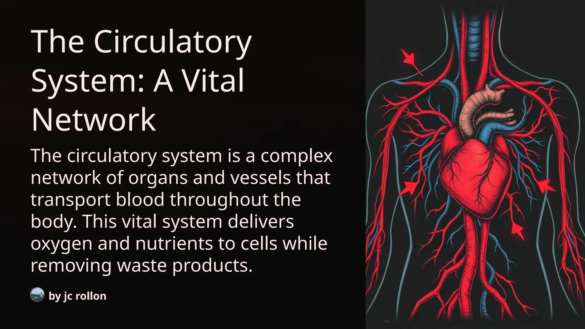 The-Circulatory-System-A-Vital-Network.pptx