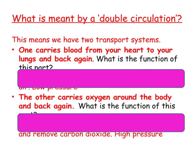 The-Circulatory-System-PPT.pptxpptpptppt | PPT