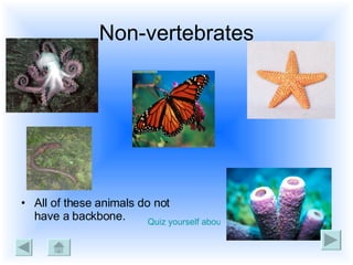 The Classification Of Living Organisms Ed205 | PPT