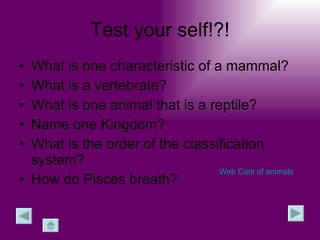 The Classification Of Living Organisms Ed205 | PPT