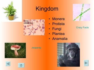 The Classification Of Living Organisms Ed205 | PPT