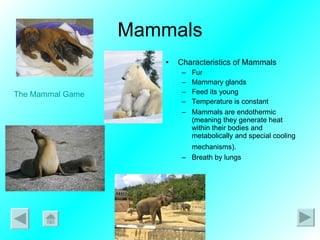 The Classification Of Living Organisms Ed205 | PPT