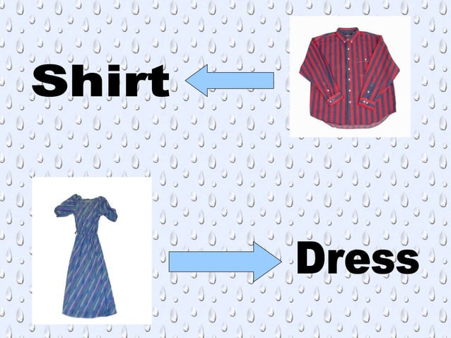 The Clothes | PPT