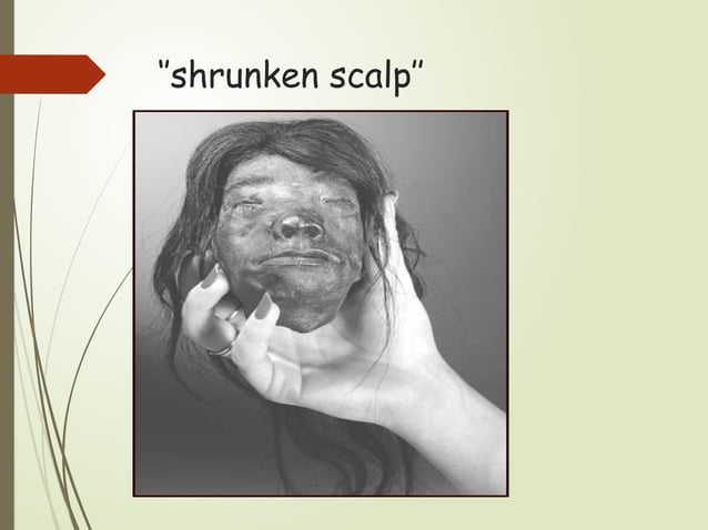 the-clown-punk-e28093-simon-armitage.pptx