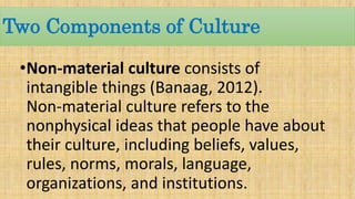 The-Concept-of-Culture.pptx