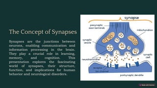 The-Concept-of-Synapses-Lesson-IV (1).pdf
