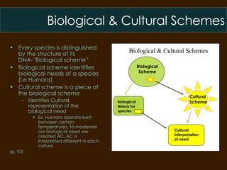 The Culture Code Notes | PPT