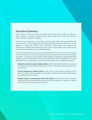 The Culture Cure for Digital: How to Fix What’s Ailing Business | PDF