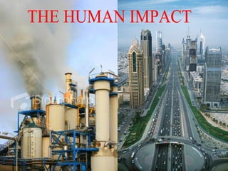 The Cycle Of Life1 | PPT