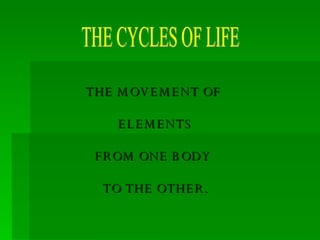 The Cycle Of Life1 | PPT