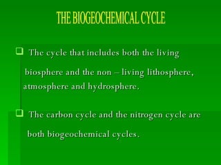 The Cycle Of Life1 | PPT