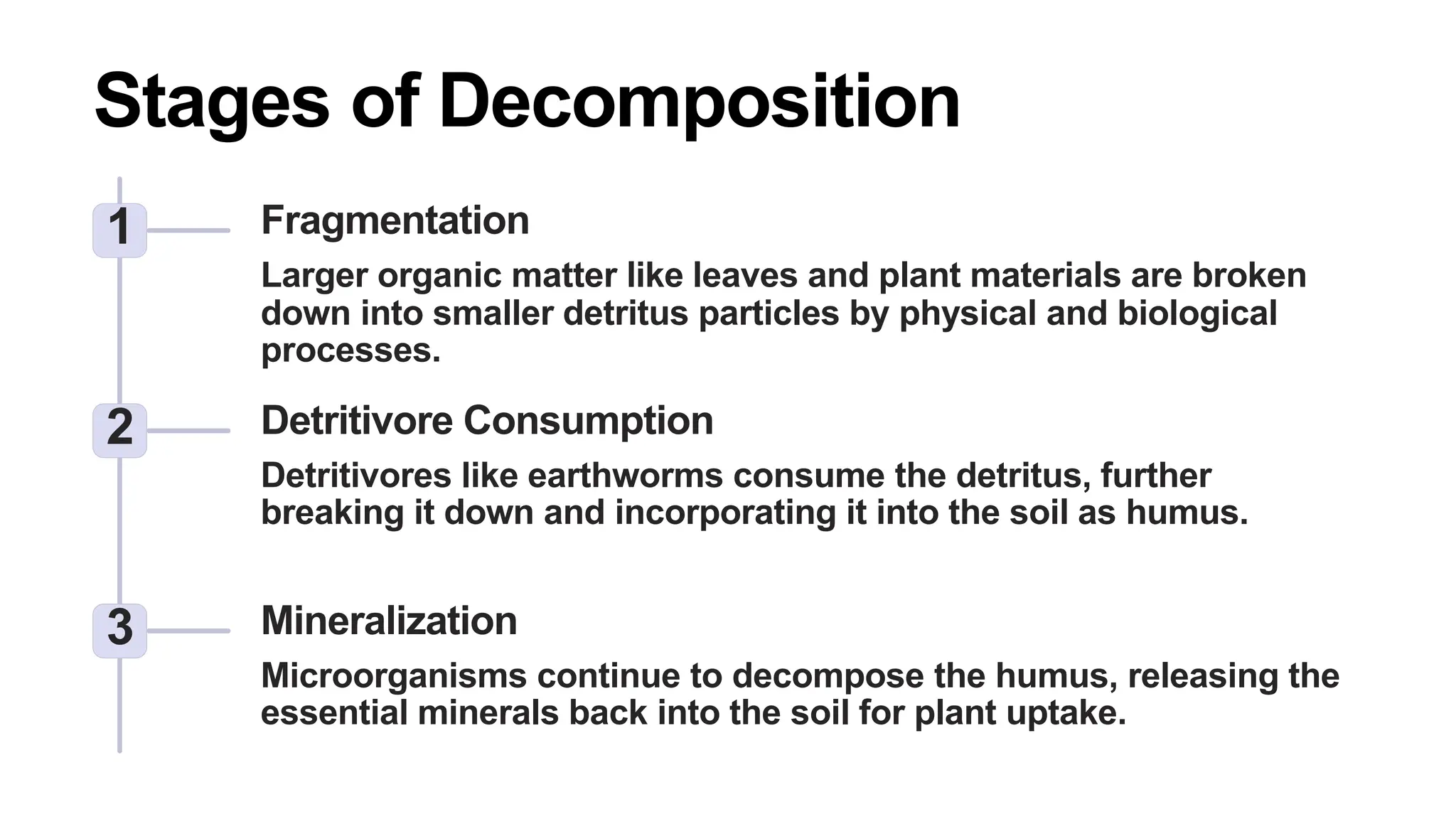 Decomposition in the ecosystem - an overview | PPTX