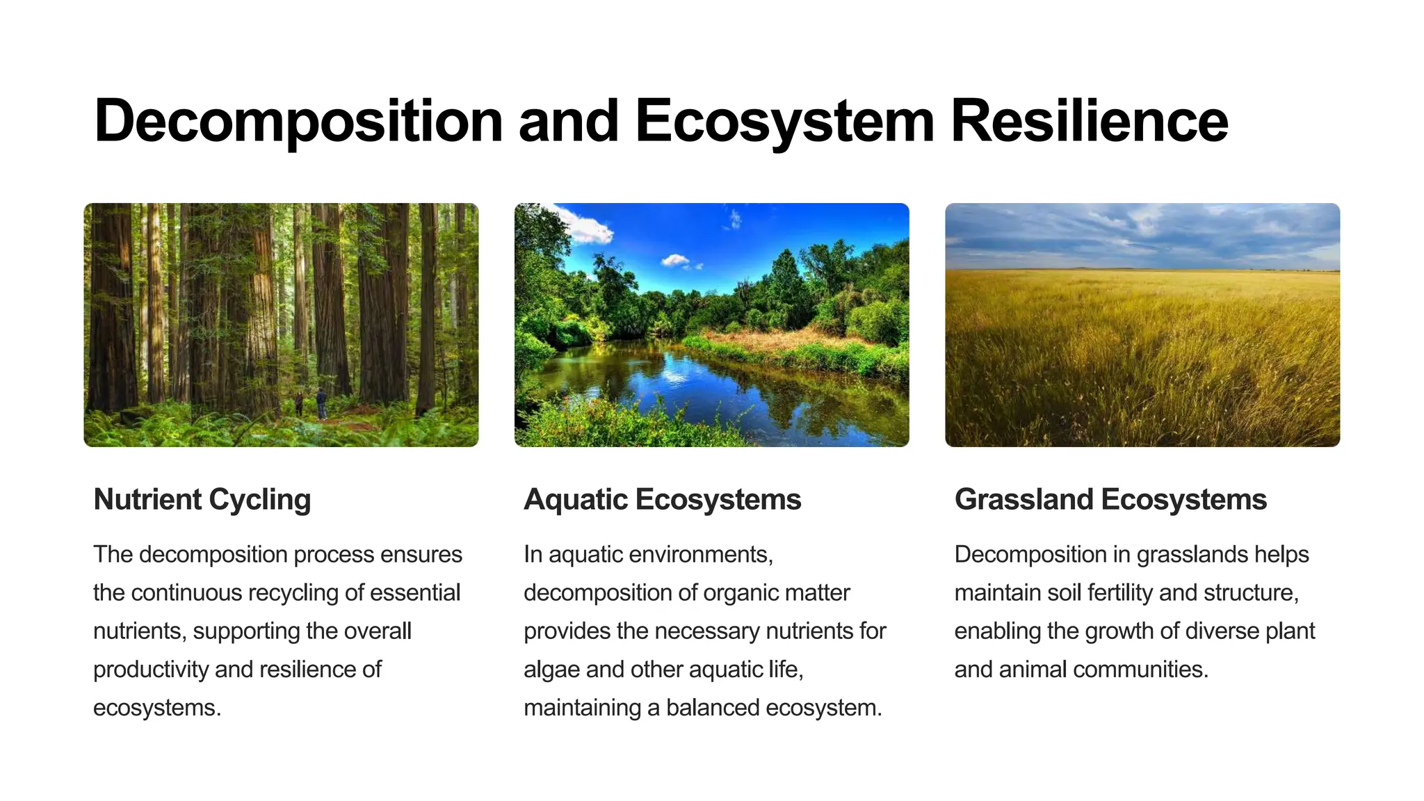 Decomposition in the ecosystem - an overview | PPTX