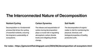 Decomposition in the ecosystem - an overview | PPTX
