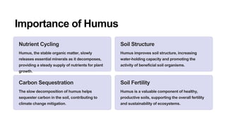 Decomposition in the ecosystem - an overview | PPTX