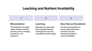 Decomposition in the ecosystem - an overview | PPTX