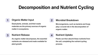 Decomposition in the ecosystem - an overview | PPTX