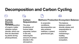 Decomposition in the ecosystem - an overview | PPTX