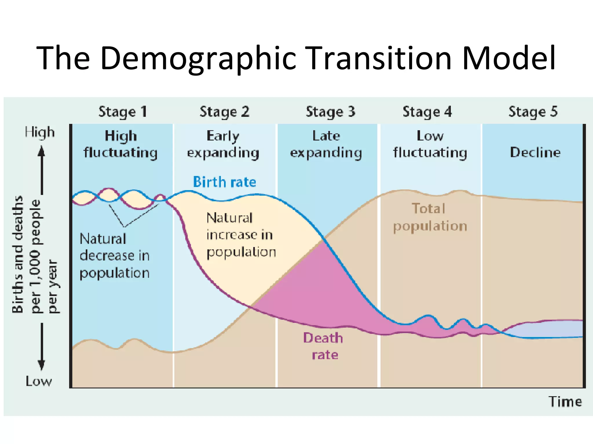 The Demographic Tranistion Model | PPT