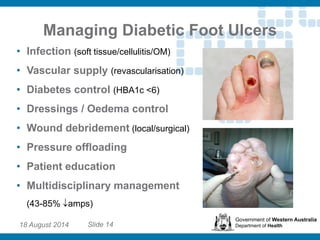 The-Diabetic-Foot-Diab-Ed-2014.pdf