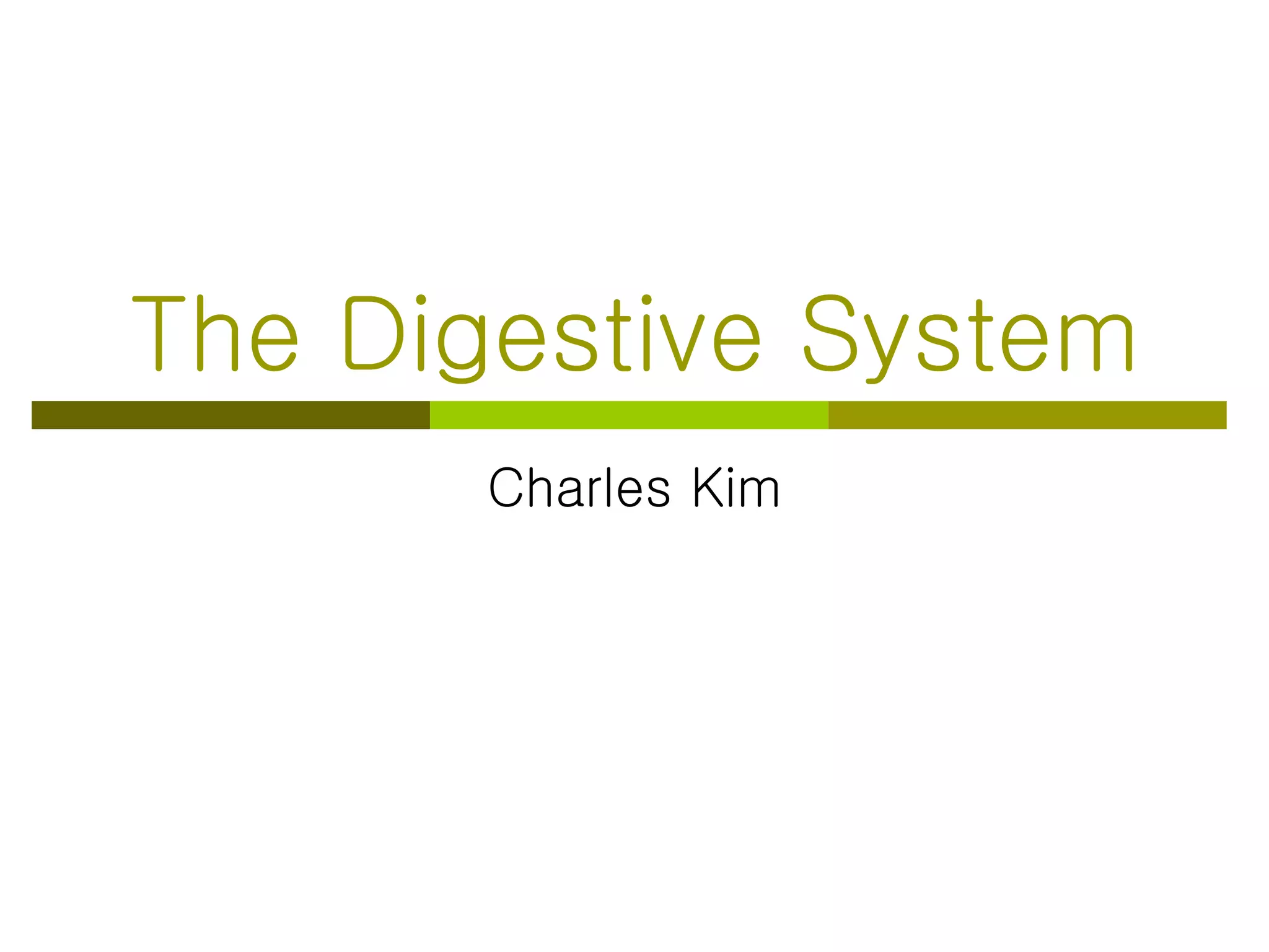 The Digestive System | PPT