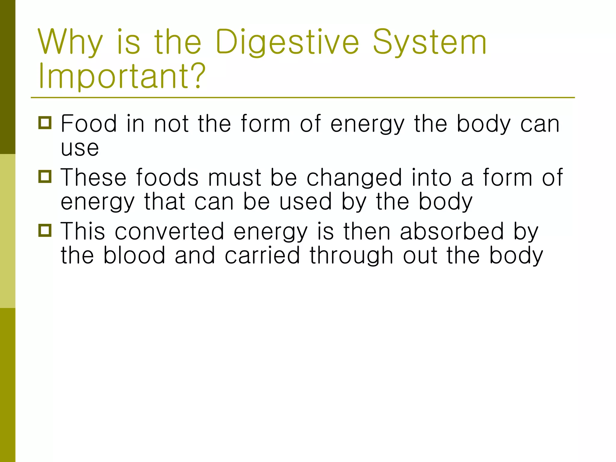 The Digestive System | PPT