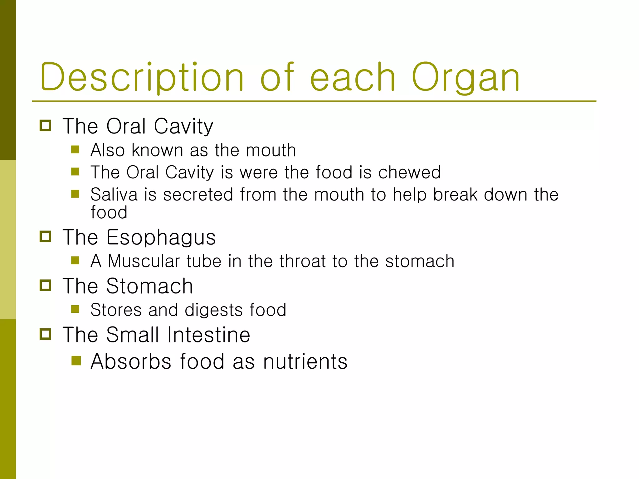 The Digestive System | PPT