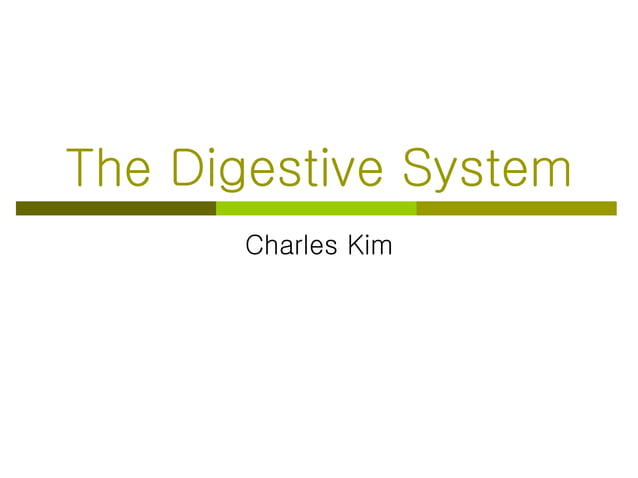 The Digestive System | PPT