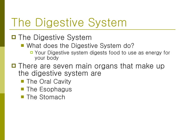 The Digestive System | PPT