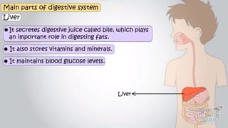 THE-DIGESTIVE-SYSTEM.pptx