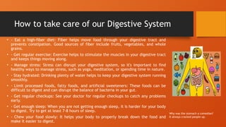 Comprehensive Overview of the Human Digestive System and Its Functions ...