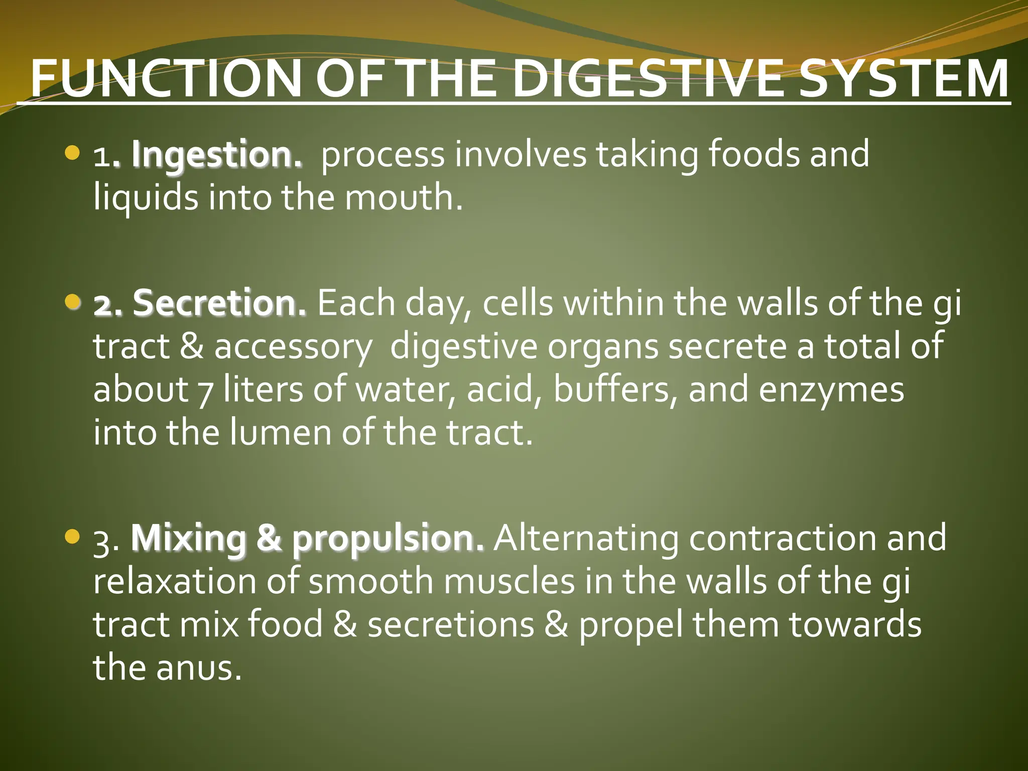 TheDigestivesystem2999999999999999999999 | PPTX