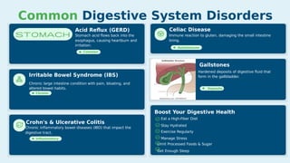 Digestive system group 7, presentation in els | PPTX