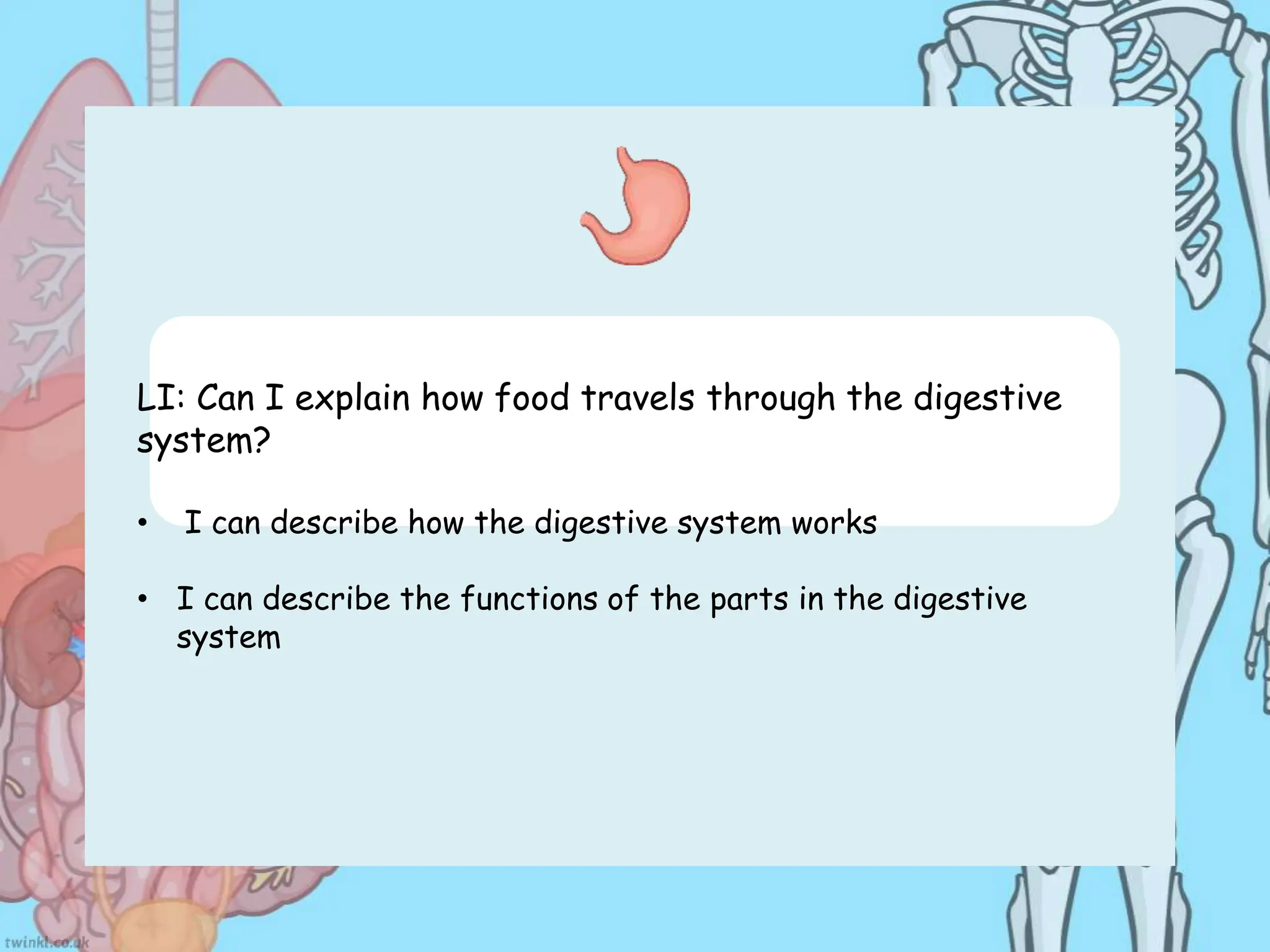 The-Digestive-System-in-Humans-Powerpoint.ppt