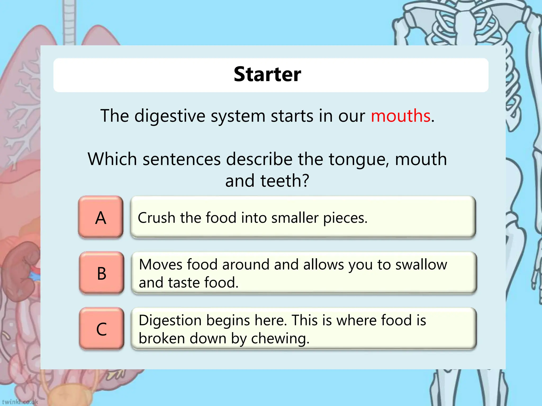 The-Digestive-System-in-Humans-Powerpoint.ppt