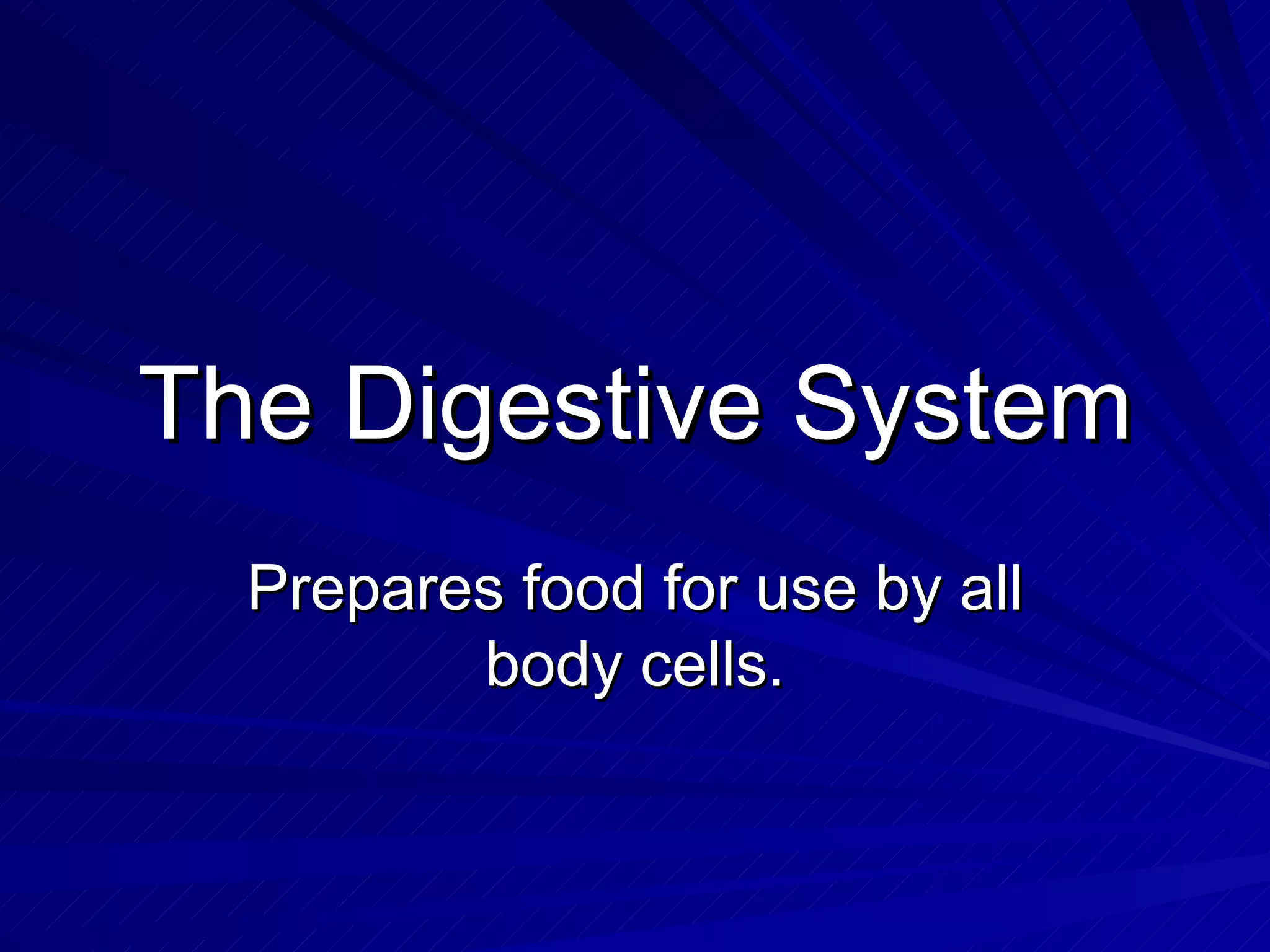 The Digestive System Powerpoint | PPT