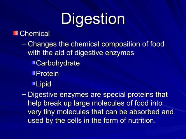 The Digestive System Powerpoint | PPT