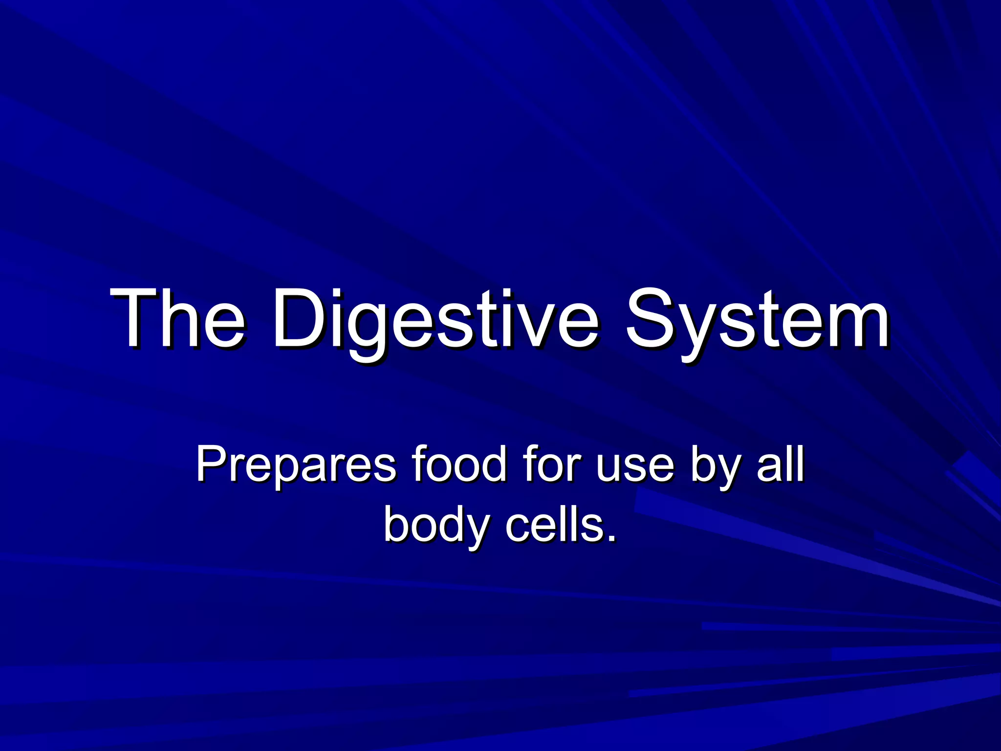 The digestive-system-powerpoint- | PPT