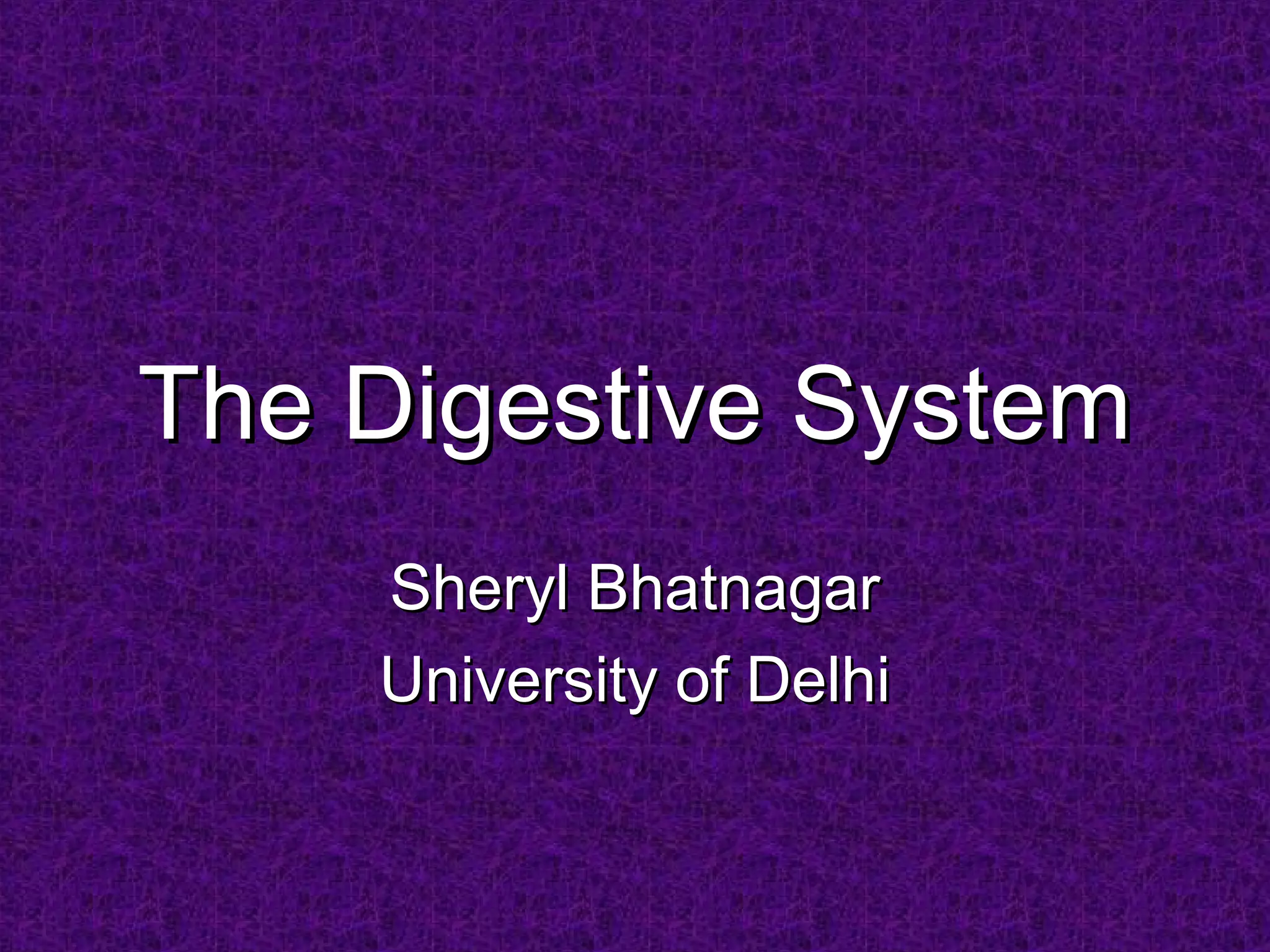 The digestive-system-powerpoint- | PPT