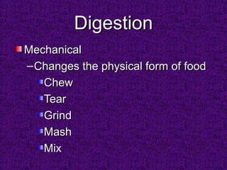 The digestive-system-powerpoint- | PPT