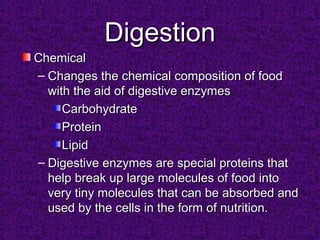 The digestive-system-powerpoint- | PPT