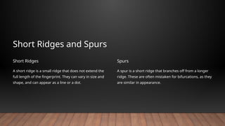 The-Diverse-World-of-Fingerprint-Minutiae.pptx