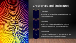 The-Diverse-World-of-Fingerprint-Minutiae.pptx