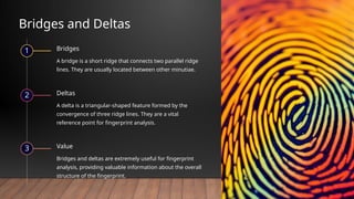 The-Diverse-World-of-Fingerprint-Minutiae.pptx