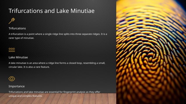 The-Diverse-World-of-Fingerprint-Minutiae.pptx