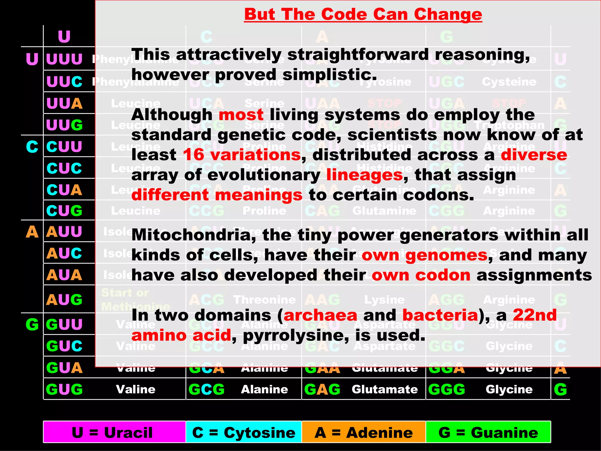 The DNA Code | PPT